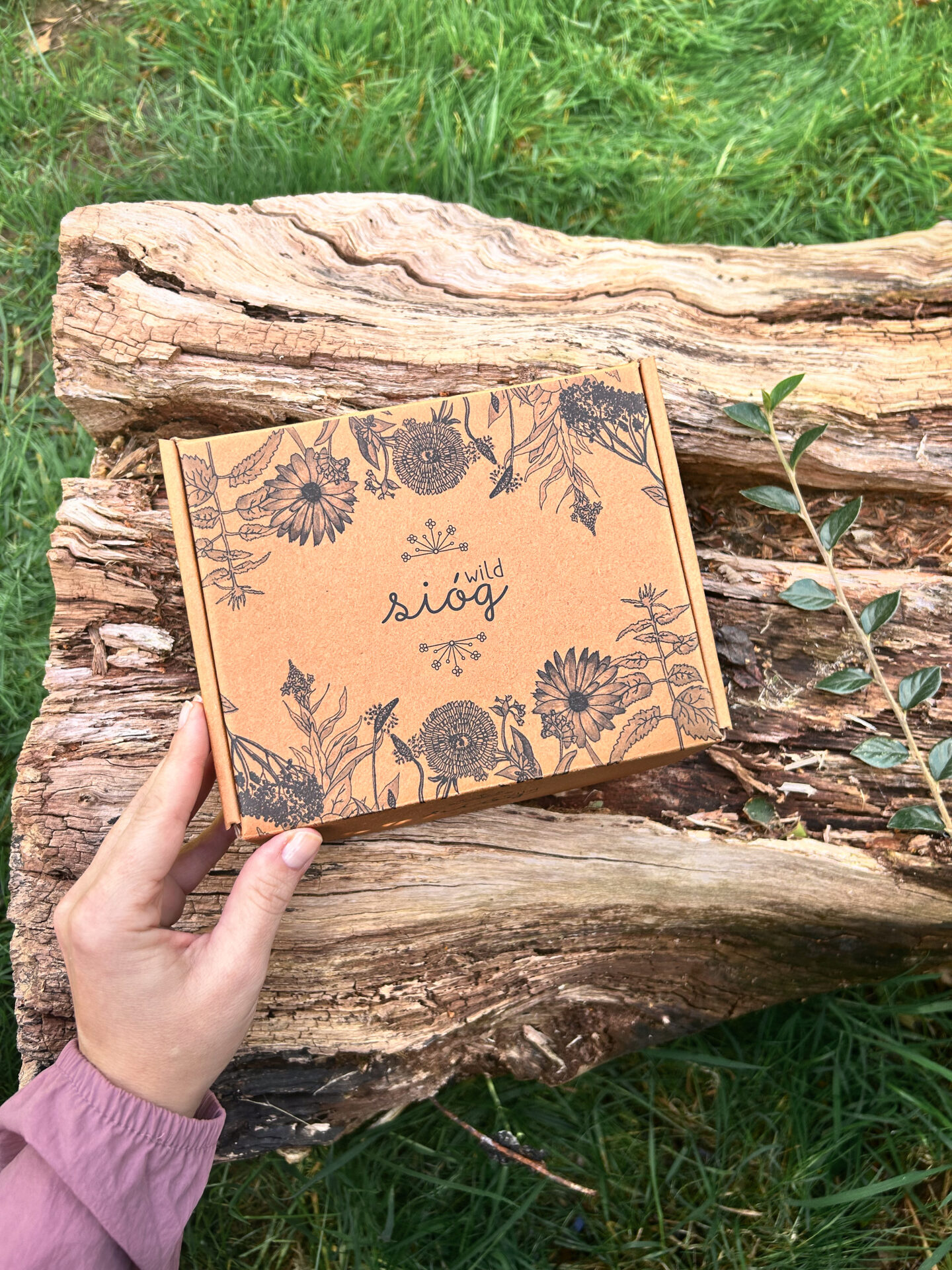 Raw Irish Artisan Honey Gift - Wild Siog